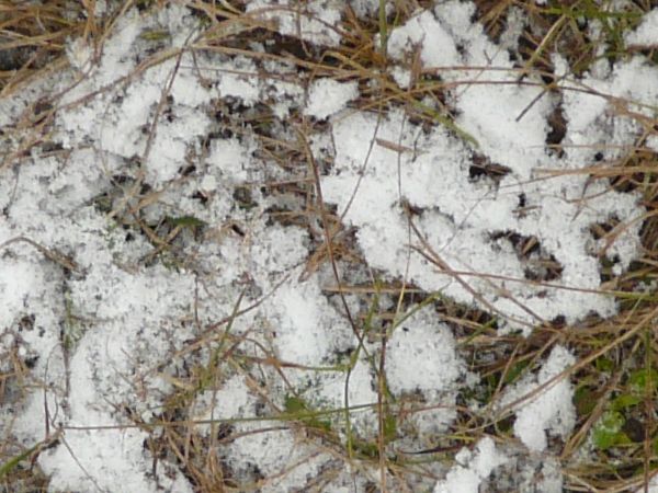 frozen ground texture 0018 - Texturelib